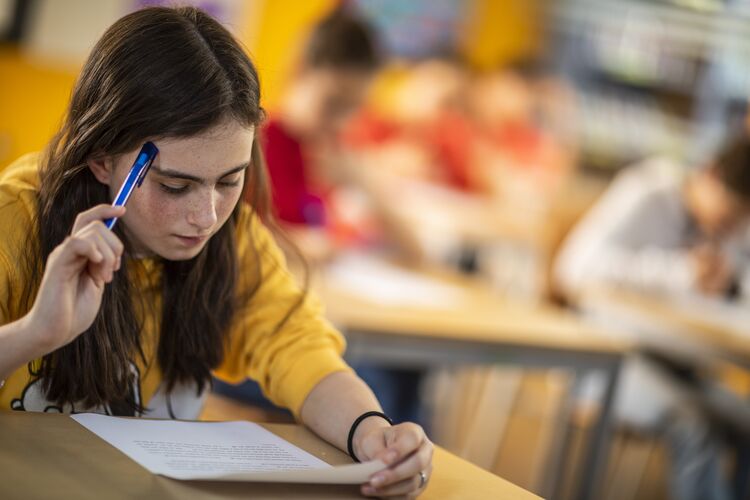 How to write an essay in English | British Council