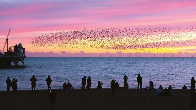 Jennifer Cosgrave's Instagram, Twitter & Facebook on IDCrawl